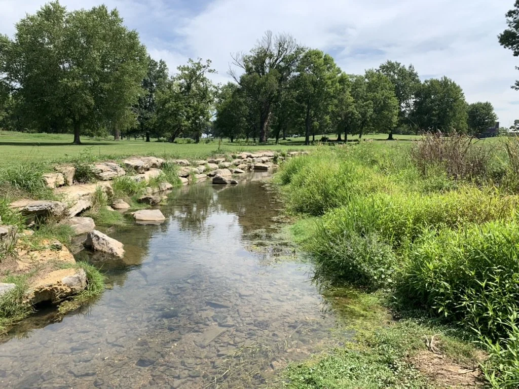 IRWP Strategic Plan — Illinois River Watershed Partnership