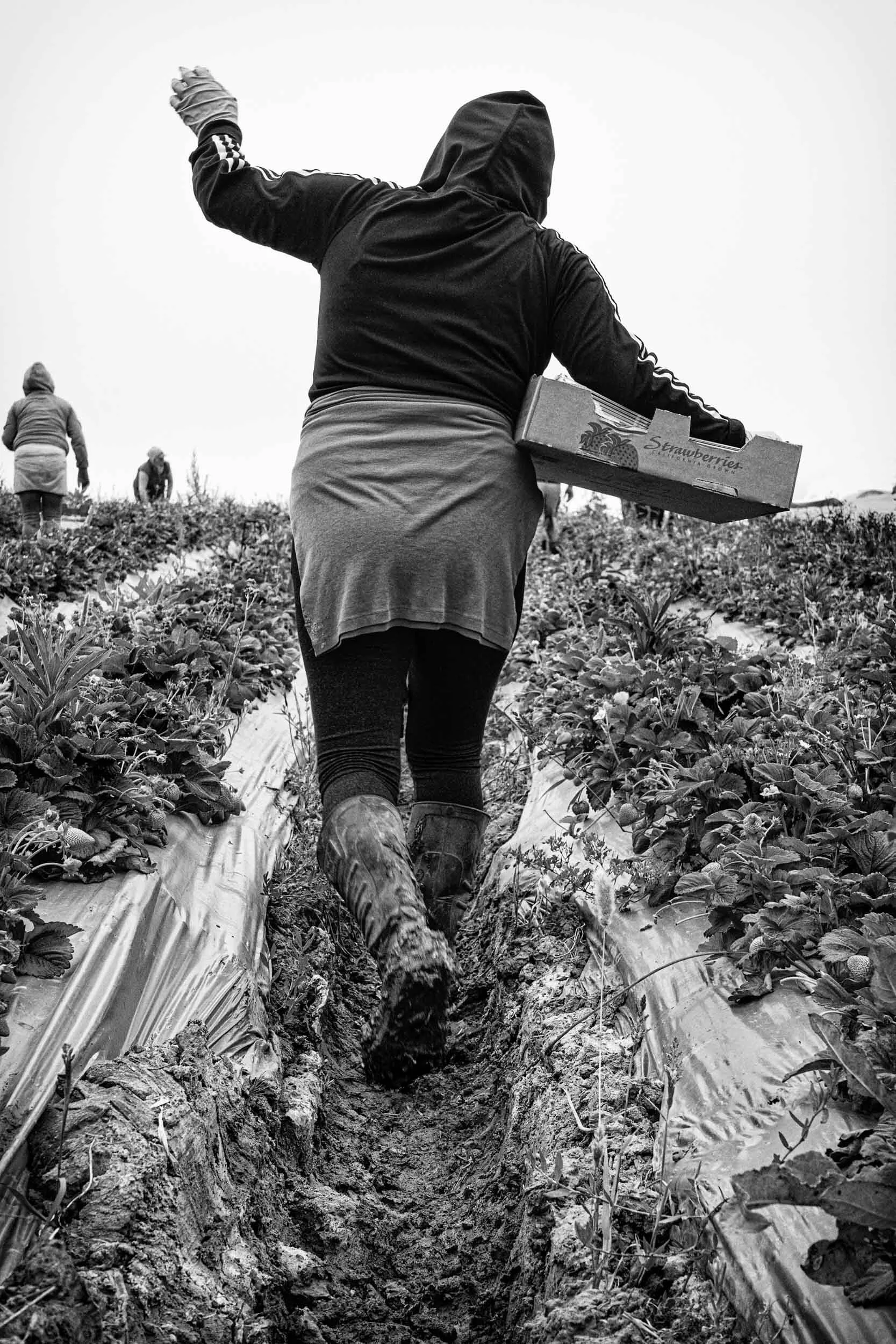 The Unseen — Jacque Rupp