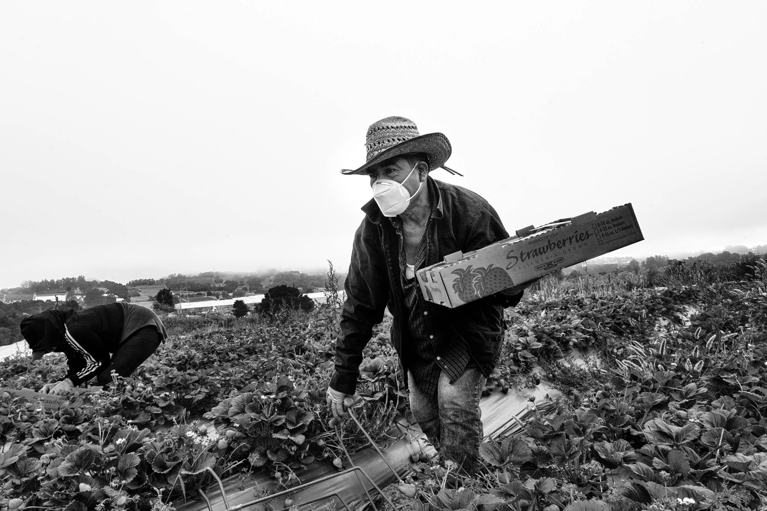 The Unseen — Jacque Rupp