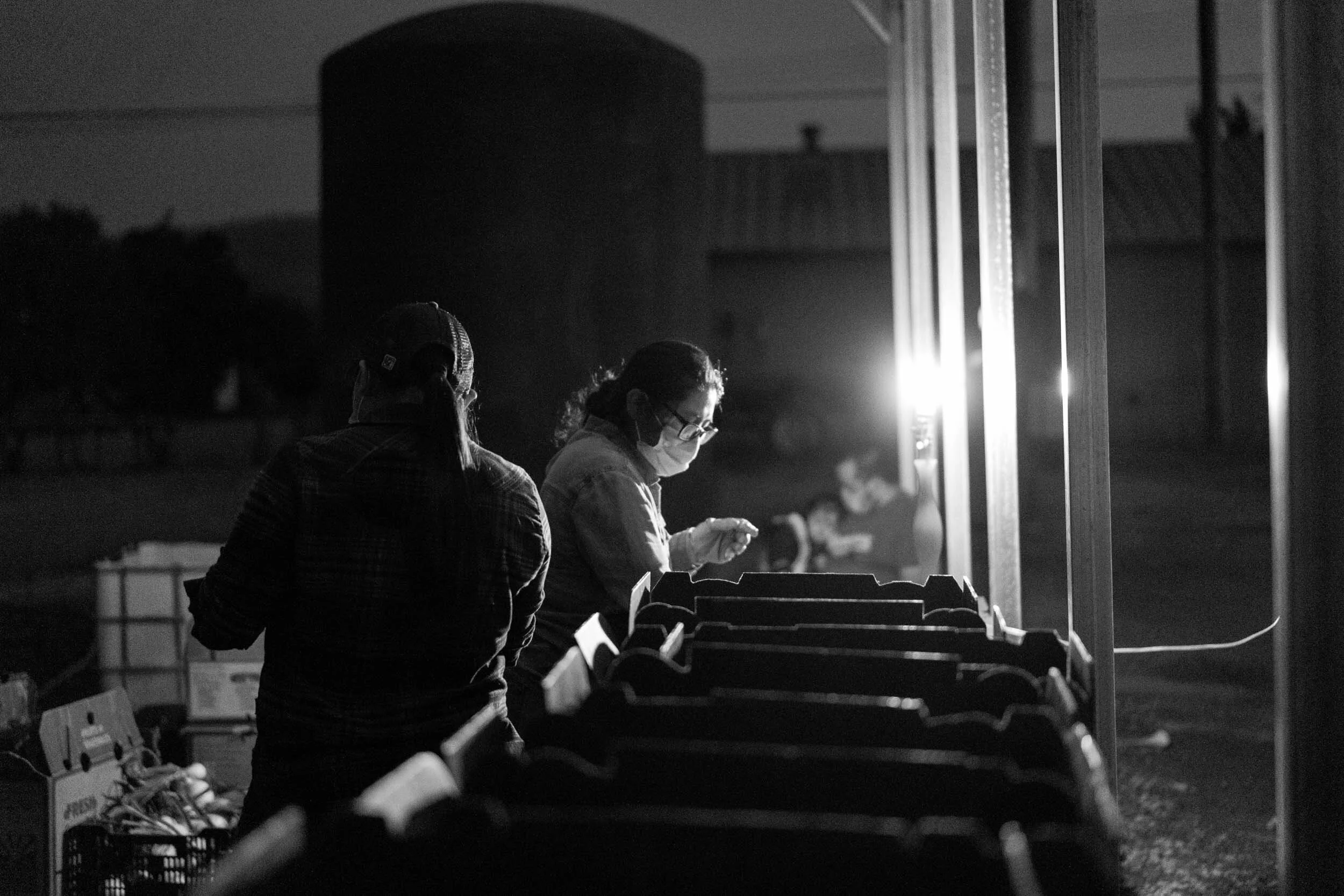 The Unseen — Jacque Rupp