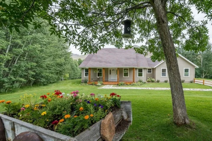 Stephanie Reed Real Estate | Trust Us to Bring You Home