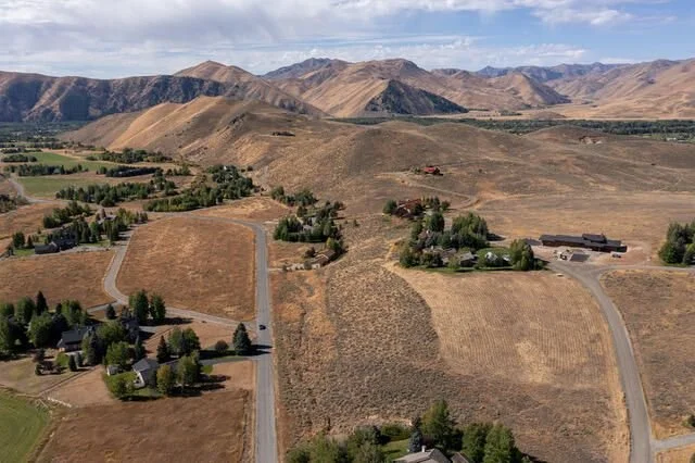 Stephanie Reed Real Estate | Trust Us to Bring You Home