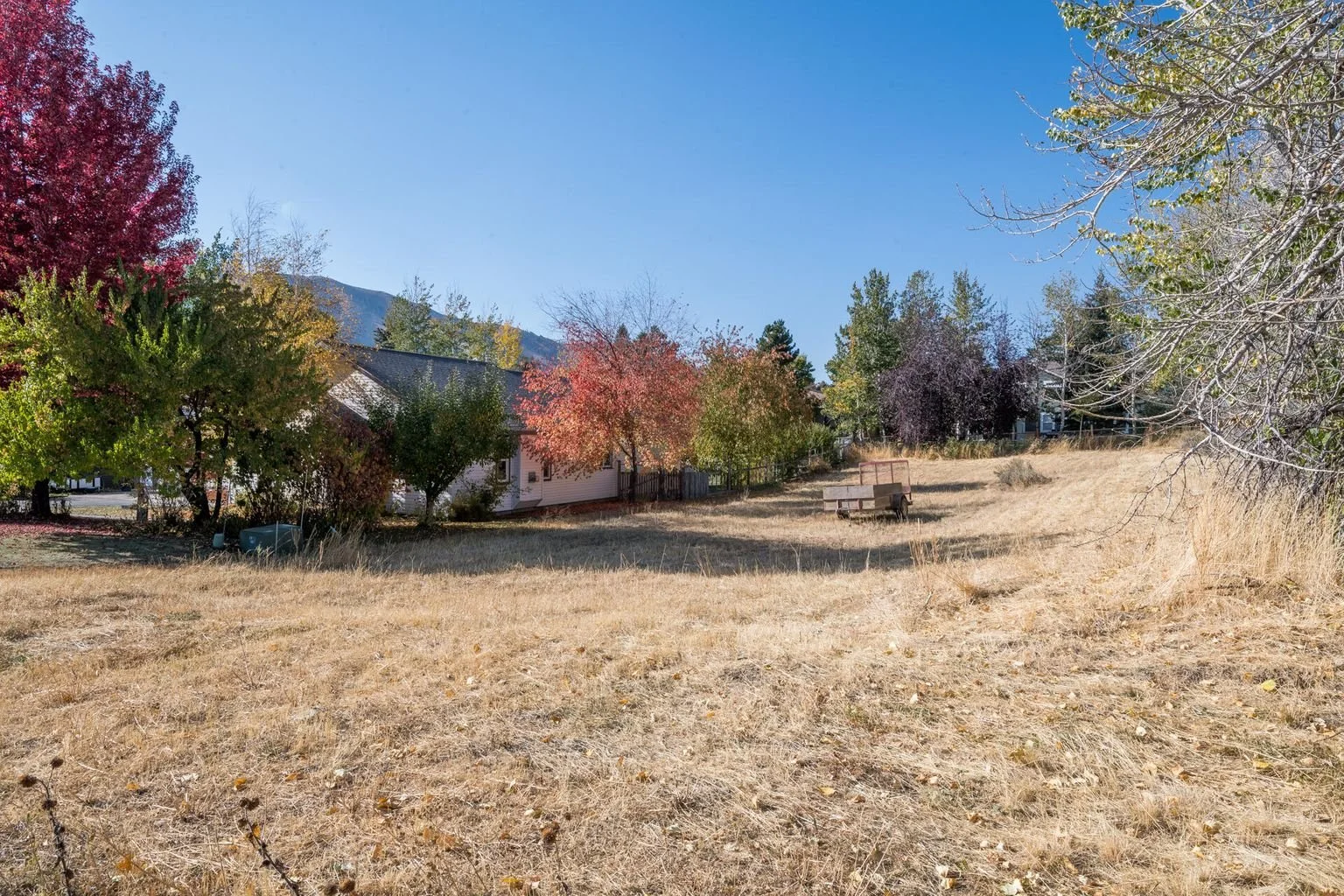 Stephanie Reed Real Estate | Trust Us to Bring You Home