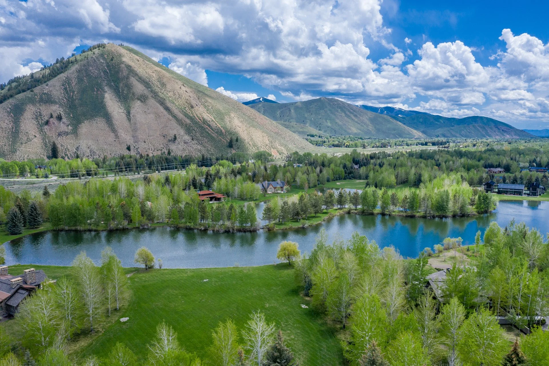 Stephanie Reed Real Estate | Trust Us to Bring You Home