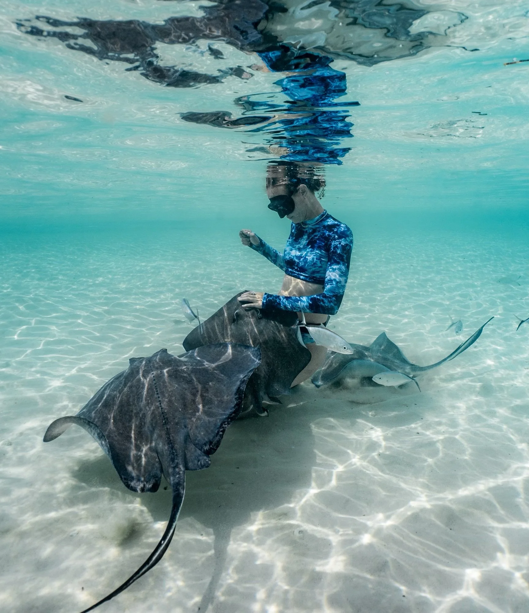 Explore With Us! — Keiko Conservation