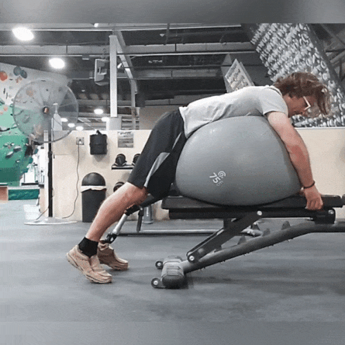 Why Strengthening Through a Full Range of Motion is Important ...