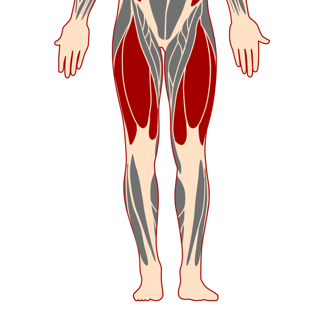 Yoga Doesn't Strengthen the Quads as Much as You Think — Strength for Yoga