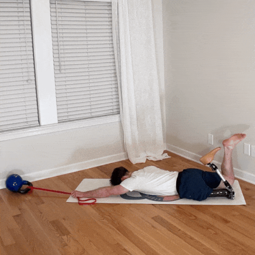 The Biomechanics of Prone Backbends — Strength for Yoga
