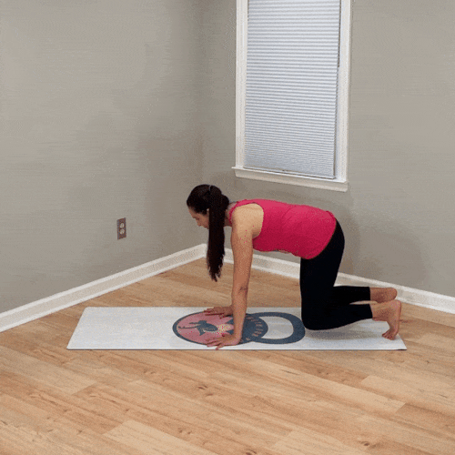 What Are the 3 Ways to Train the Core? — Strength for Yoga