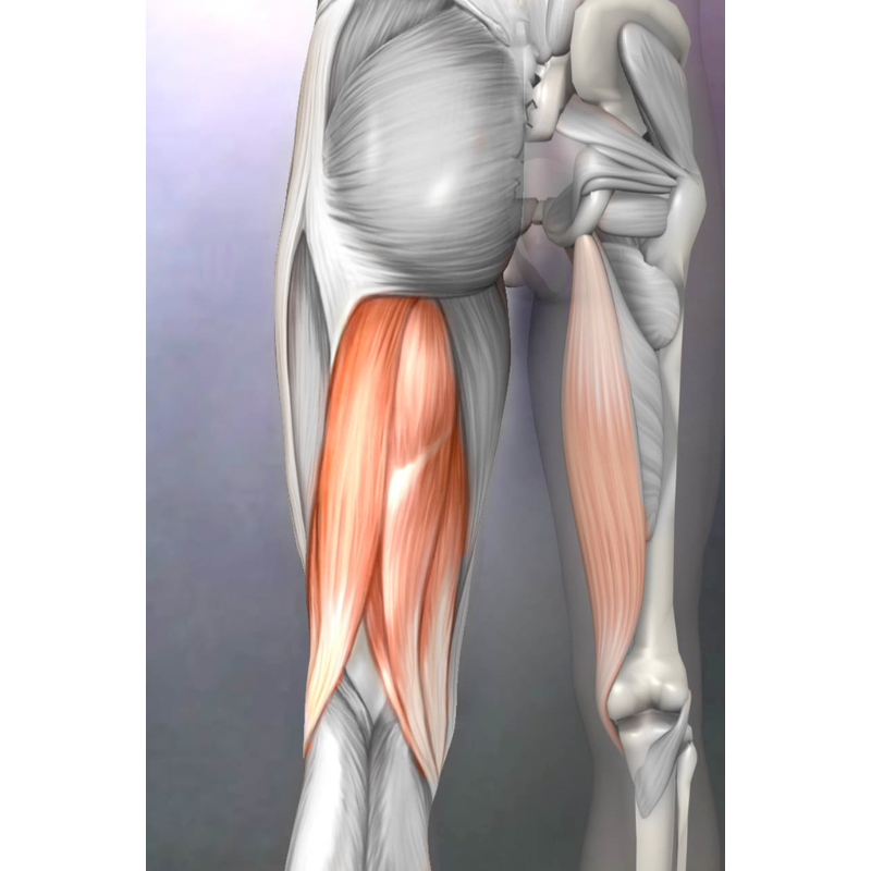 Yoga Doesn't Strengthen the Hamstrings – Here's How to Bring This Into ...