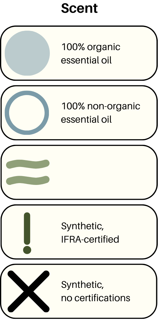 A Doctor's Guide to Finding Non-Toxic Home Fragrances 2024 — Interior ...