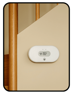 Best Radon Detectors 2026: Doctor's Guide — Interior Medicine