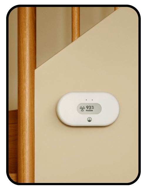Best Radon Detectors 2026: Doctor's Guide — Interior Medicine