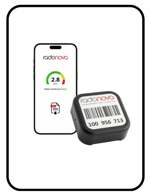 Best Radon Detectors 2026: Doctor's Guide — Interior Medicine