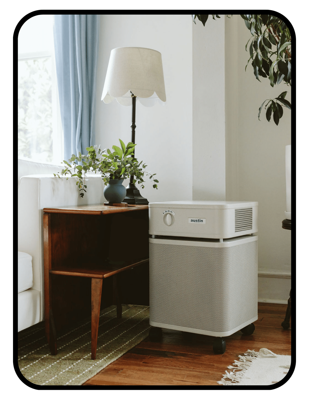 Best Non-Toxic Paint 2025: Air-Purifying & Natural Options — Interior ...