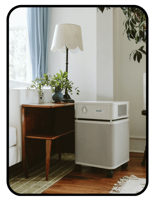 Best Non-Toxic Paint 2025: Air-Purifying & Natural Options — Interior ...