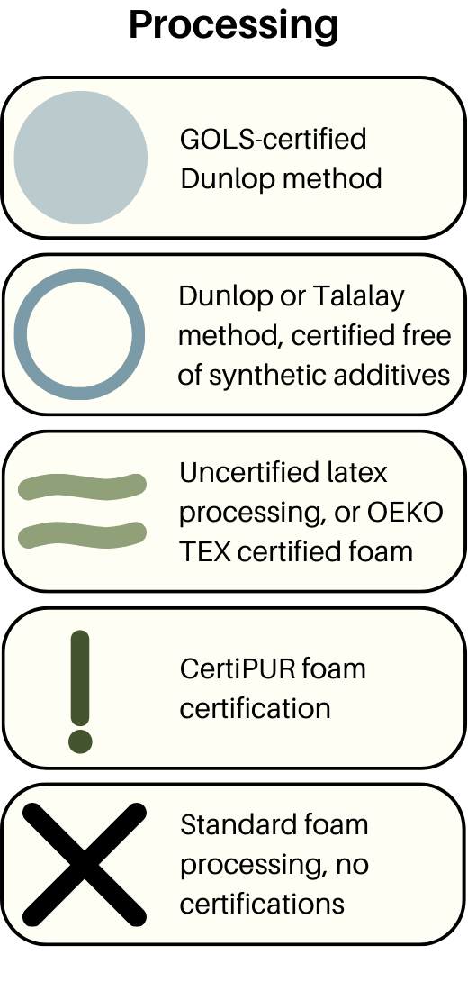 A Doctor's Guide to Non-Toxic Foam and Latex 2024 — Interior Medicine