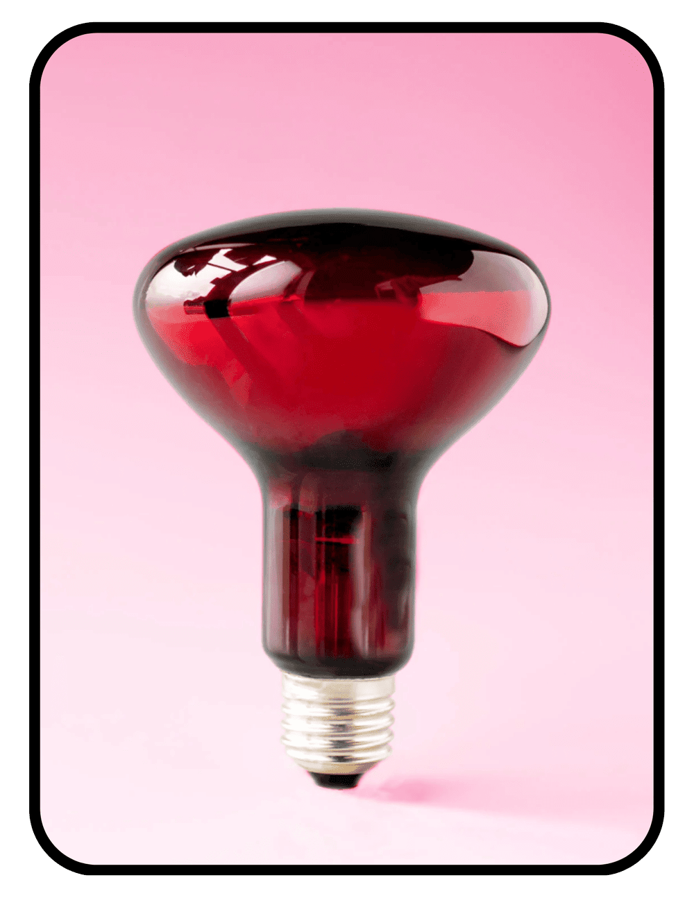 Healthy Home Lighting 2026: Doctor's Circadian Guide — Interior Medicine