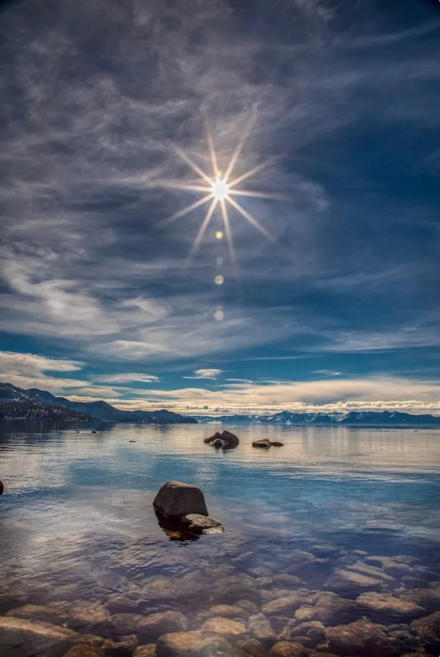 Meet Our Artists — Tahoe Home Consignment