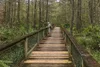 6 Fun and Easy Hiking and Walking Trails, Naples FL — Naples Florida ...