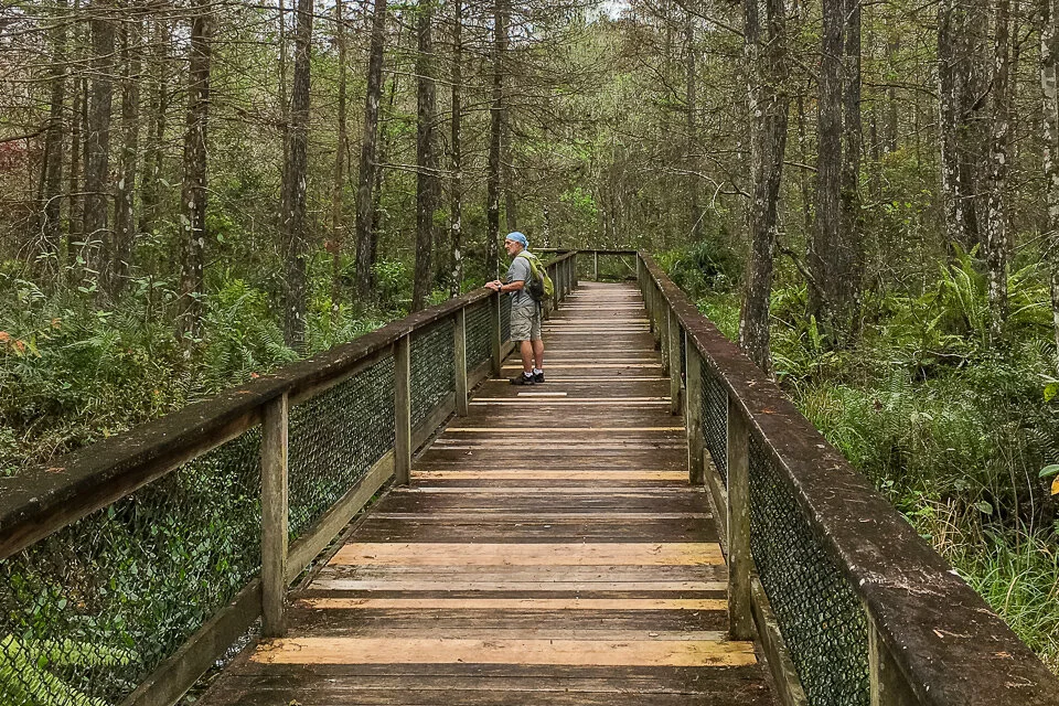 6 Fun and Easy Hiking and Walking Trails, Naples FL — Naples Florida ...
