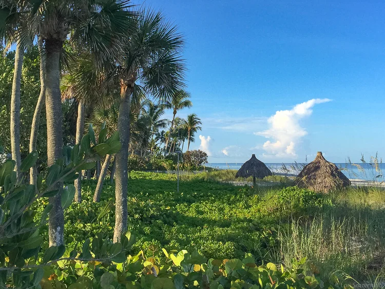 8 Best Beaches in Naples Florida for Every Traveler — Naples Florida ...