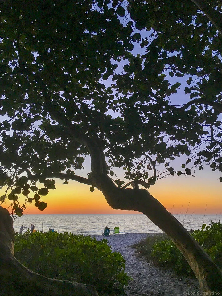 8 Best Beaches in Naples Florida for Every Traveler — Naples Florida ...