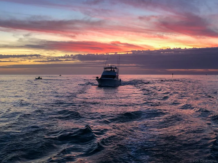 3 Dreamy Naples Sunset Cruises on Catamarans to Sail Away On — Naples ...