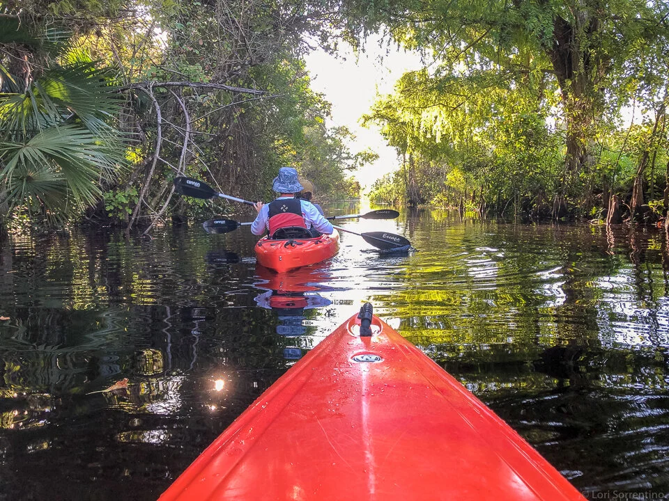 20 Fabulous Things to Do in Marco Island Florida — Naples Florida ...