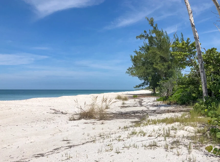 16 Best Beaches in Southwest Florida to Taste the Salt Life — Naples ...