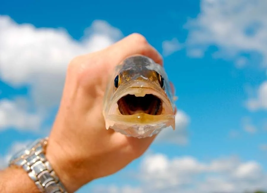Matlacha, Florida: The Cutest Artsiest Fishingest Town in Florida ...