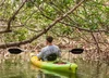 Best Places to Go Kayaking in Naples and Bonita Springs — Naples ...
