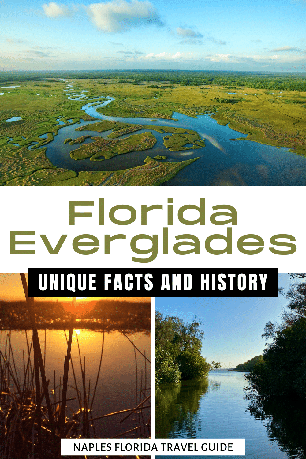 Discover the Florida Everglades: Facts, Fun and Fascinating History ...