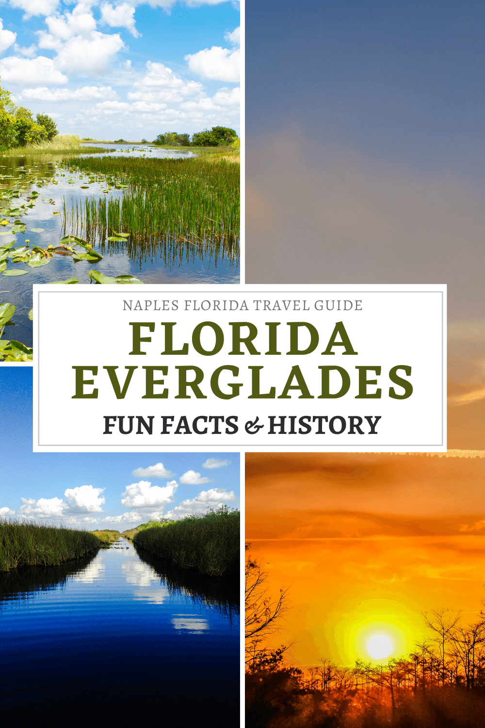Discover the Florida Everglades: Facts, Fun and Fascinating History ... Discover the Florida Everglades: Facts, Fun and Fascinating History ...