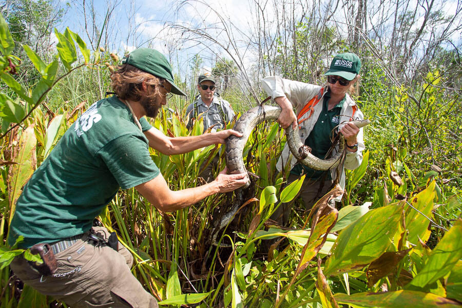 Weird Florida: 8 Unusual Things to See and Do in Southwest Florida ...
