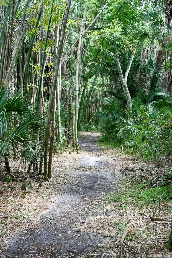 Koreshan State Park: The Hollow Earth History Of Estero Florida ...