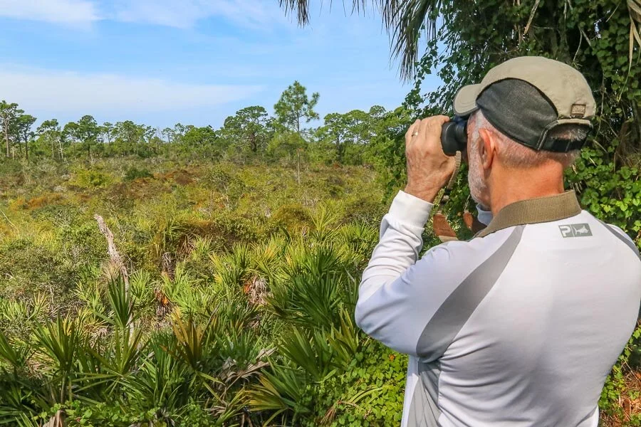 Birds of Southwest Florida: 25+ Feathered Friends to Set Your Sights On ...