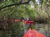 Kayaking Marco Island, Ten Thousand Islands and the Everglades — Naples ...
