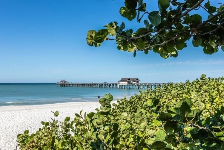 The Naples Florida Pier, Southwest Florida’s Famous Historic Landmark ...