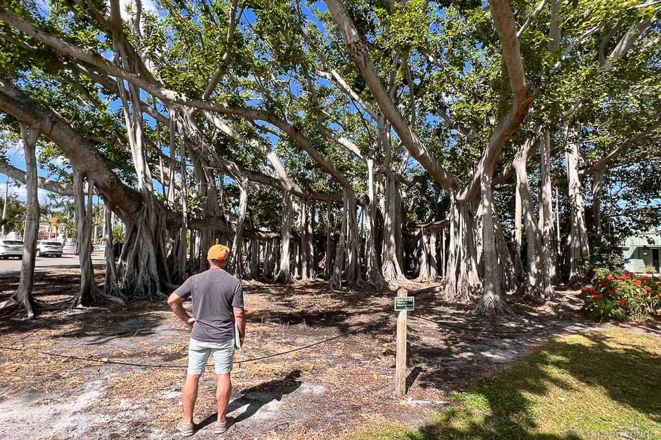 Day Trip Fun at the Edison and Ford Winter Estates in Fort Myers ...