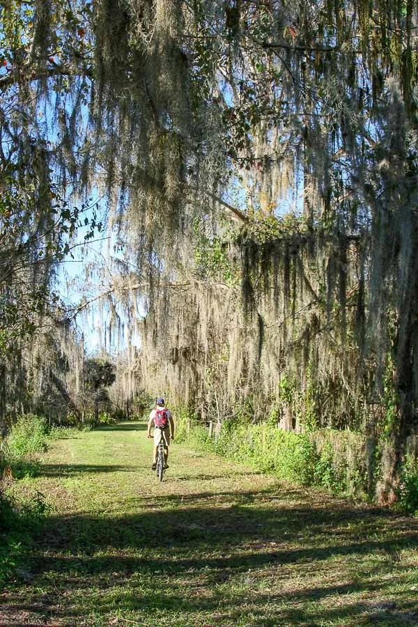 Best Preserves and State Parks in Southwest Florida to Experience ...