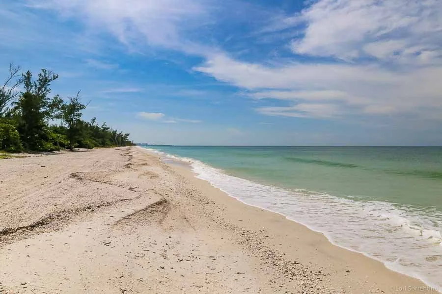Keewaydin Island: A Complete Guide to This Hidden Island Gem — Naples ...