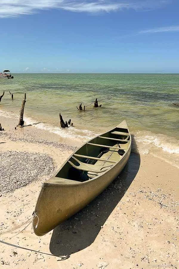 Explore the Ten Thousand Islands, Southwest Florida’s Wet Wonderland ...