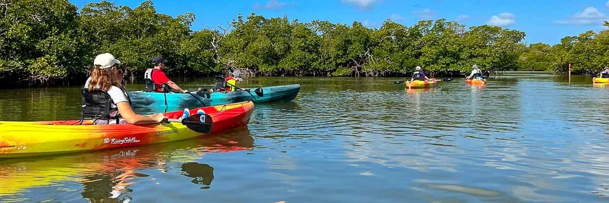 Tours — Naples Florida Travel Guide