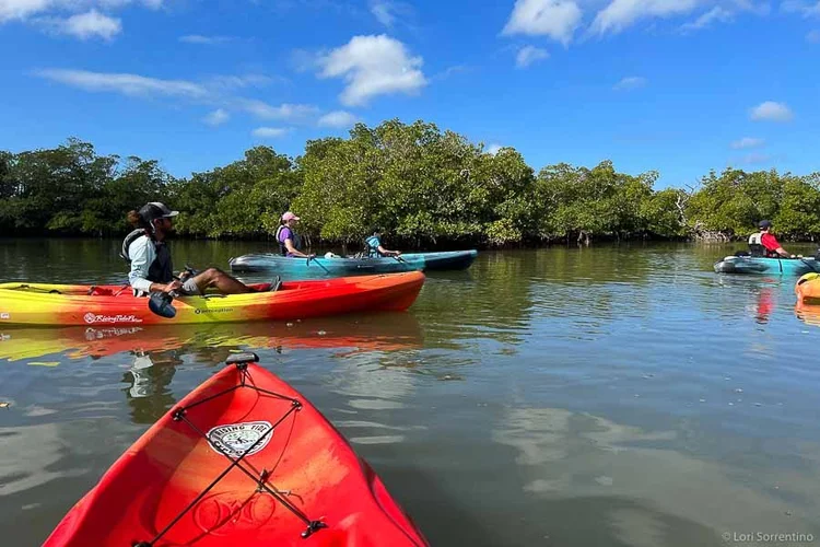 21 Awesome Things to Do in Naples Florida, the Paradise Coast — Naples ...