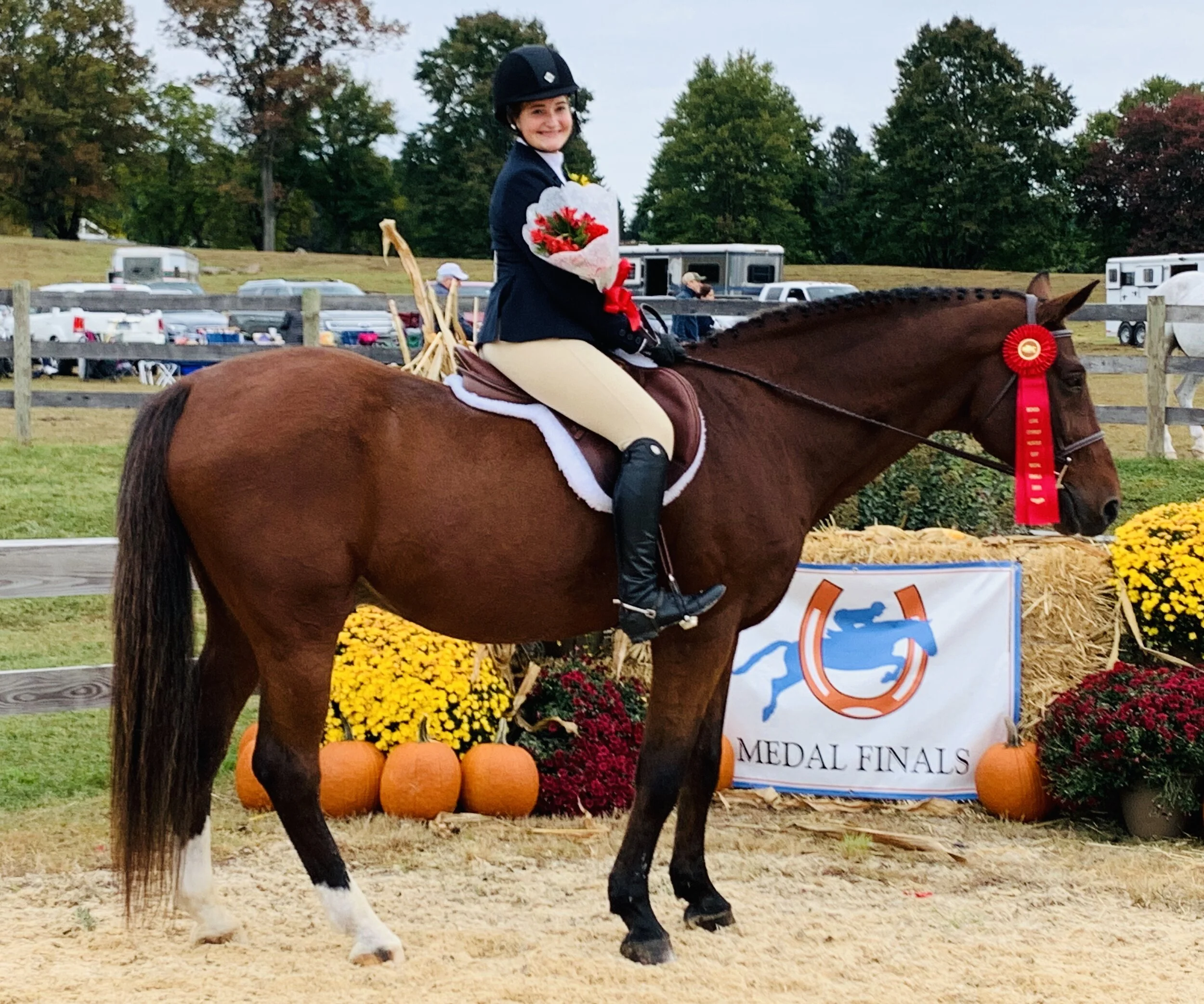 Baltimore County Horse Show Association Medal Finals — Baltimore County ...