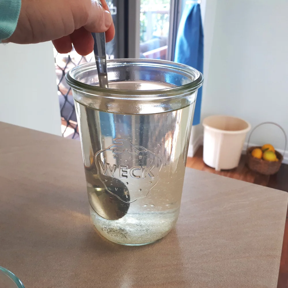 How to make probiotic Water Kefir (Tibicos) drink — Elly's Everyday