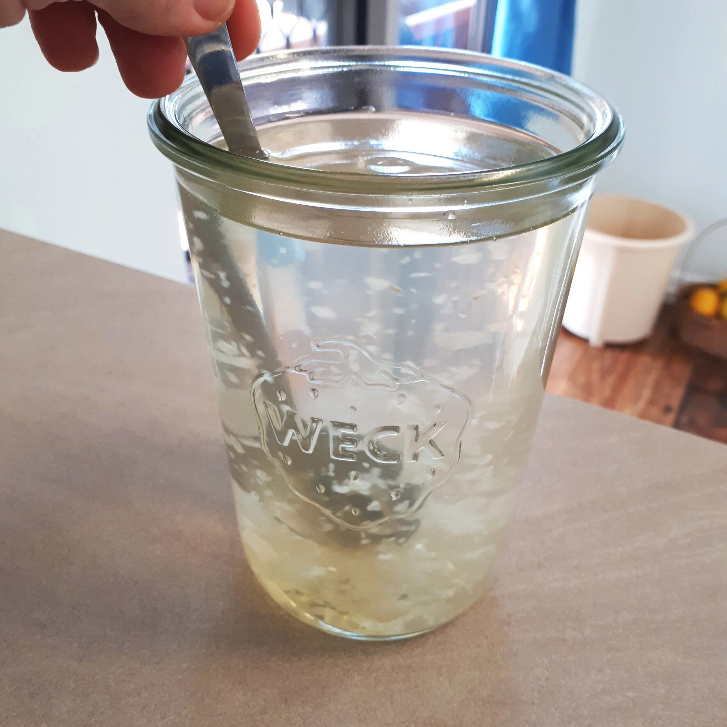 How to make probiotic Water Kefir (Tibicos) drink — Elly's Everyday
