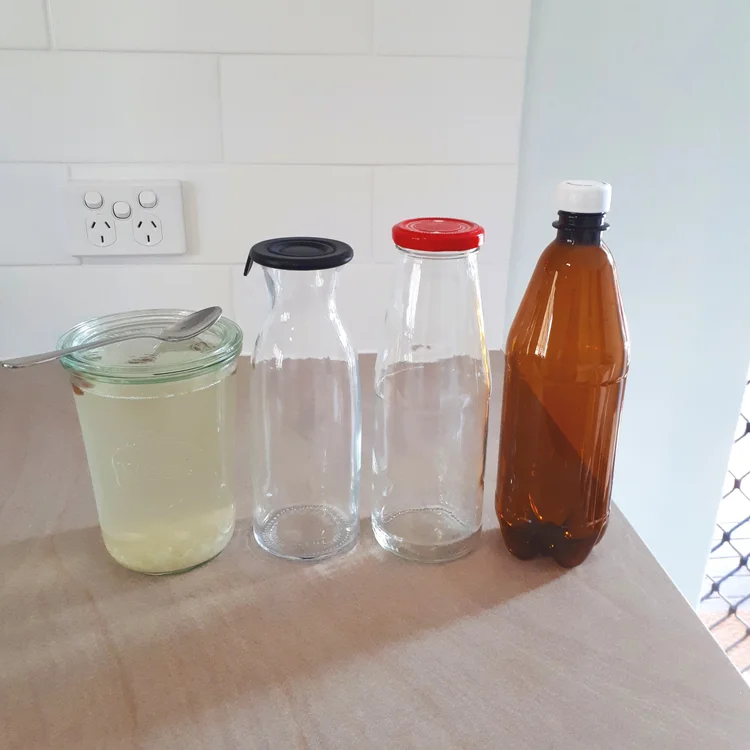 How to make probiotic Water Kefir (Tibicos) drink — Elly's Everyday