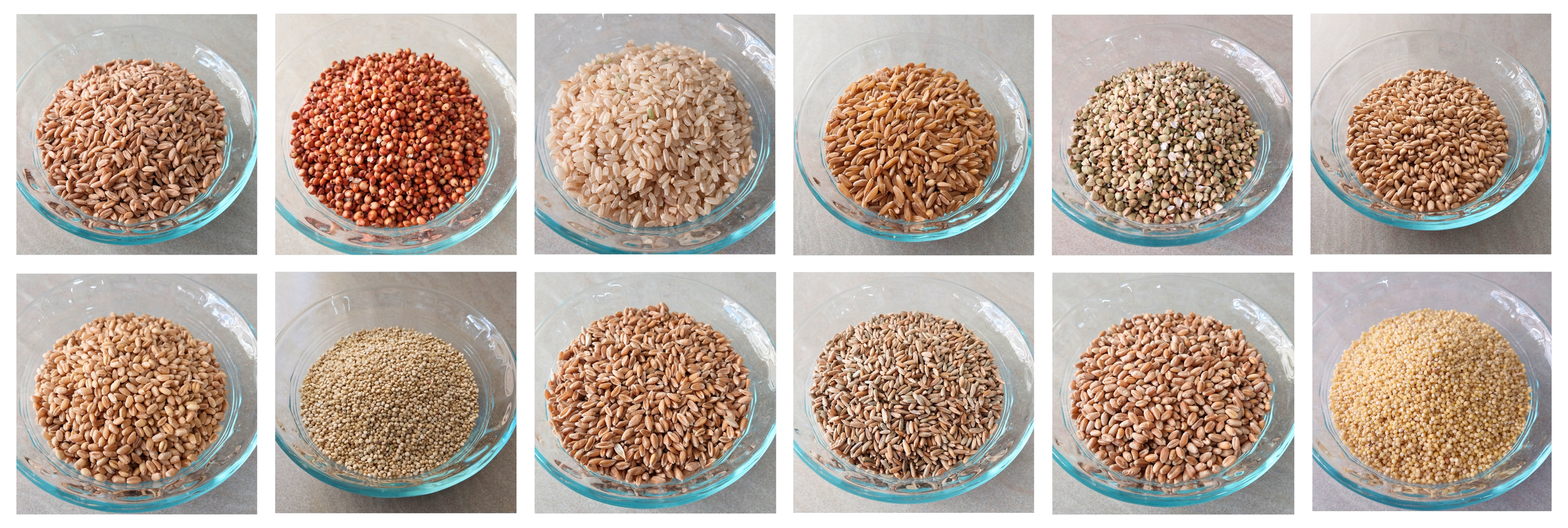 Grain-Flour-Grams Conversion Charts for Home Millers and Bakers — Elly's Everyday